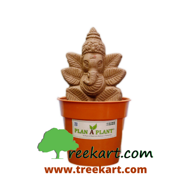 eco friendly ganesha online, eco friendly ganesh idols, plant ganesh ...